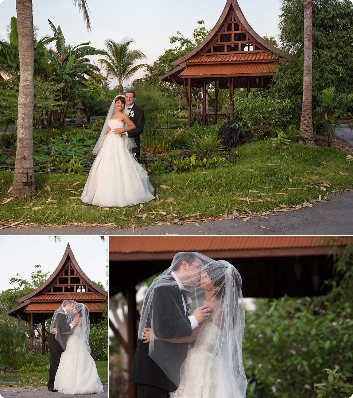 Naples Wedding Photographers – Naples Botanical Garden » Florida ...
